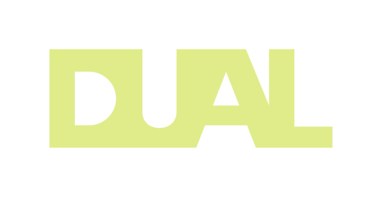 What is the DUAL WebRater?