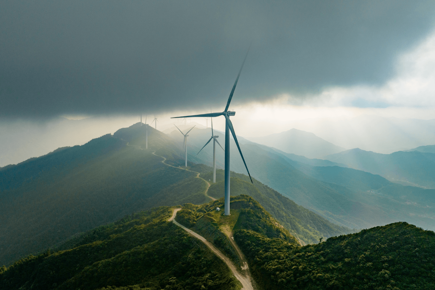 Association Liability insurance | DUAL New Zealand